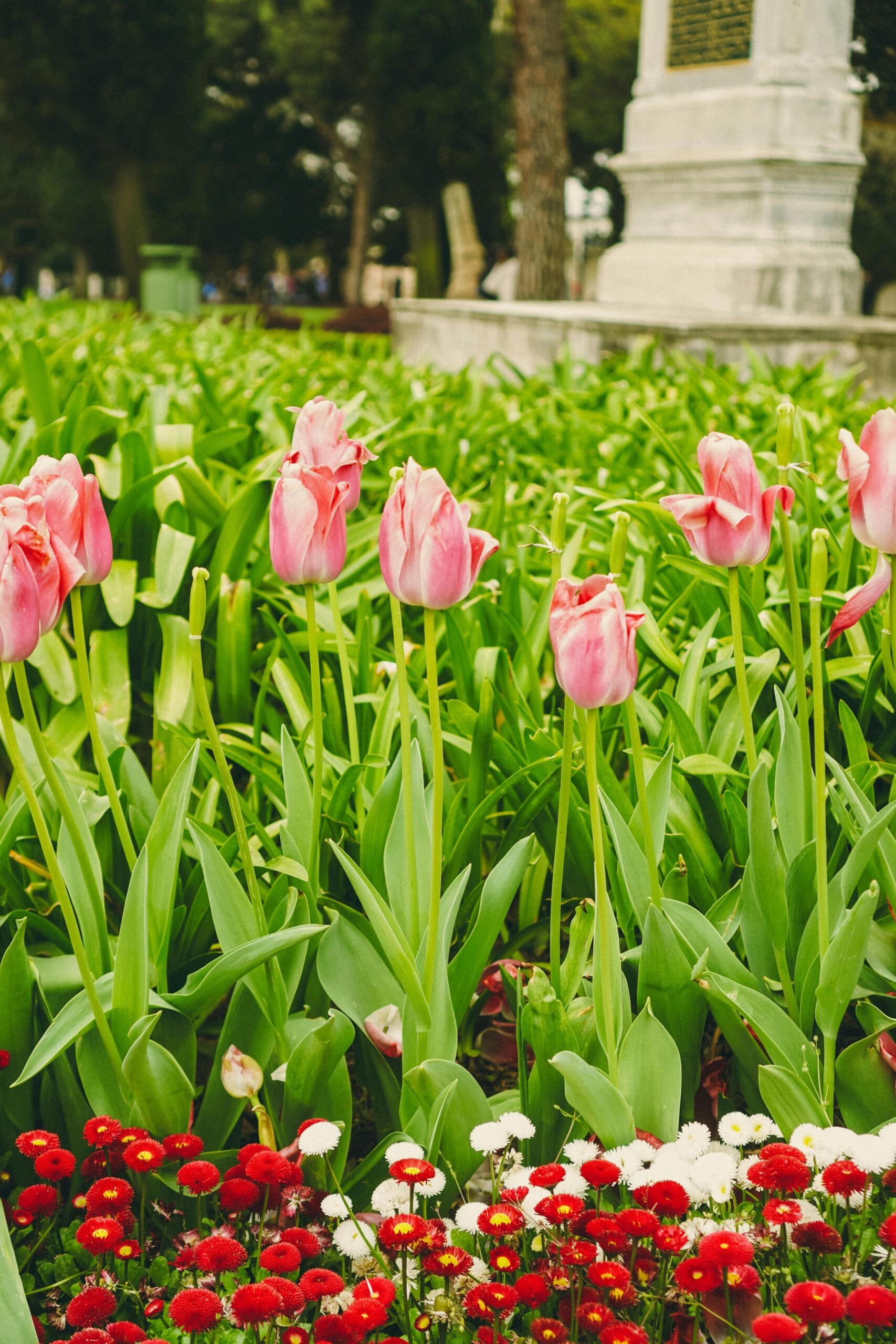 The Perfect Memorial Flowers for Every Occasion